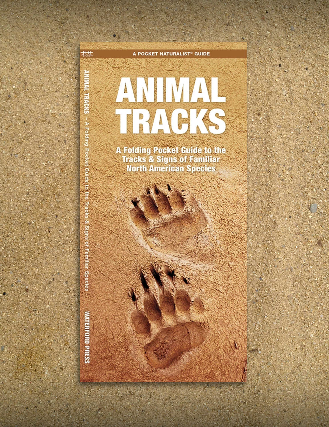 Animal Tracks Identification Chart Animal Track Keychain